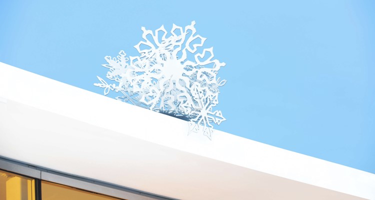 SNOWFLAKES | National Arts Council